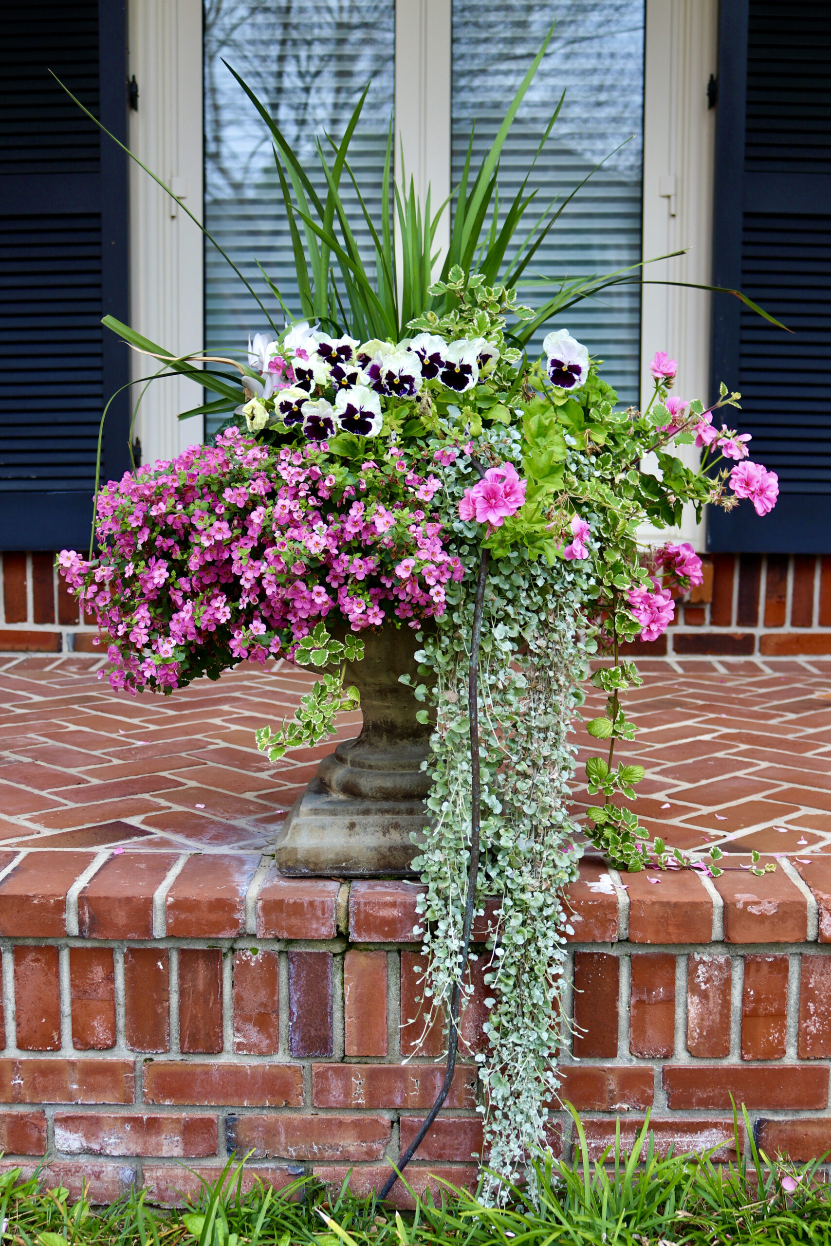 Home - The Flower Pot Lady