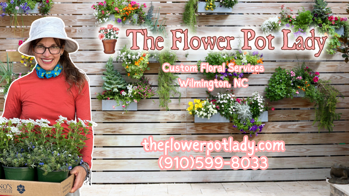 Gallery - The Flower Pot Lady